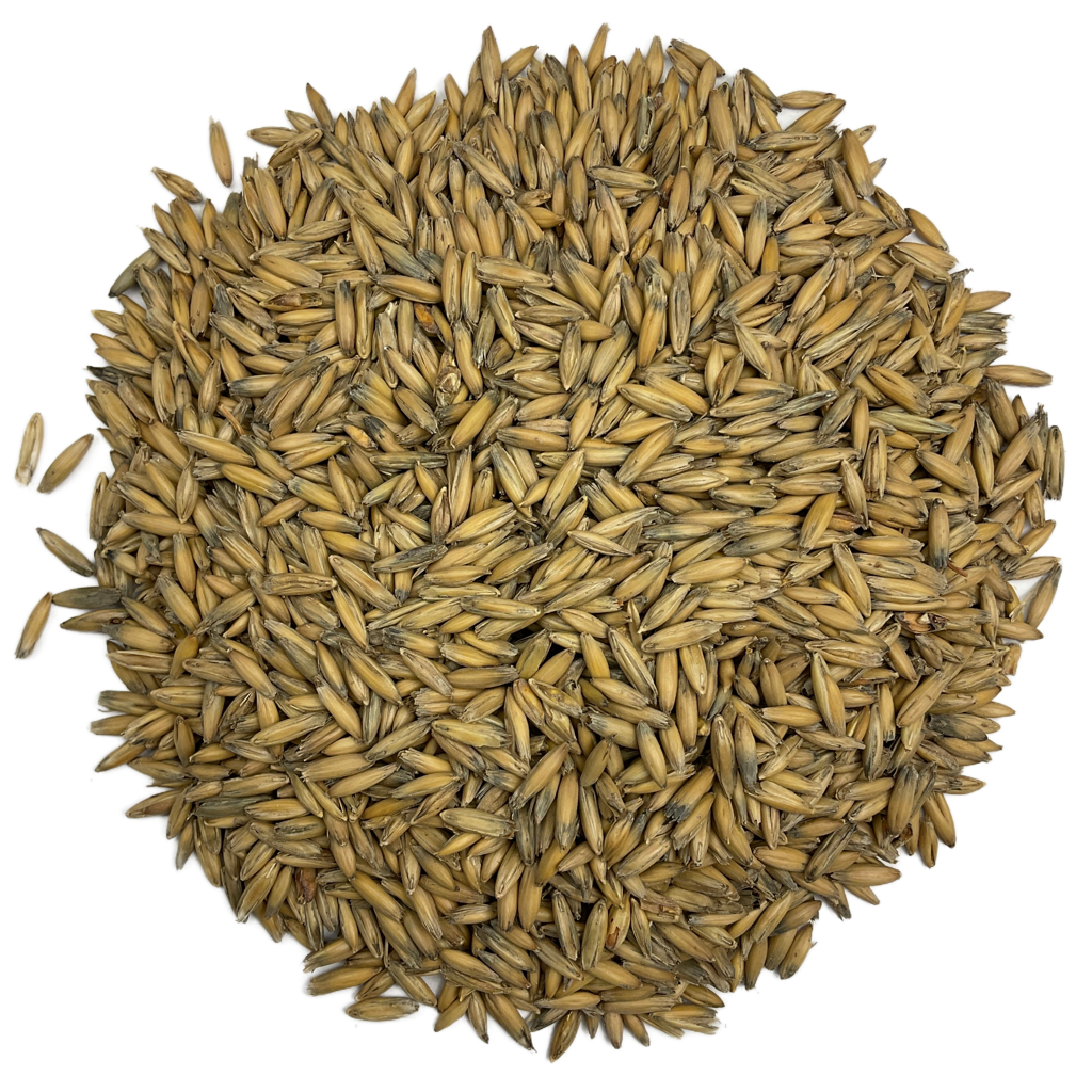 Simpsons Malted Oats | Specialty Malt