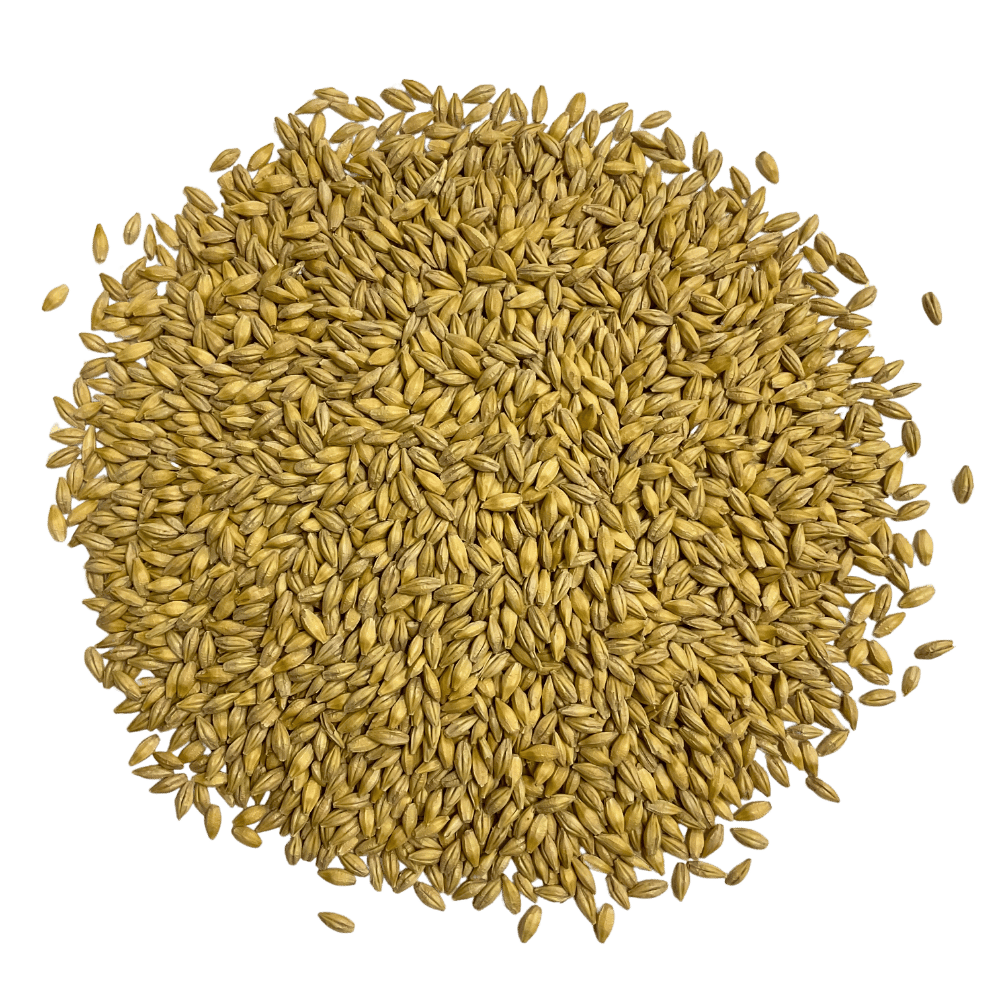 Admiral It's the Chit! Malt | High-Protein for Body & Head Retention