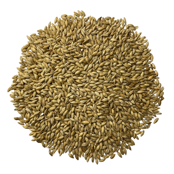 BESTMALZ Red X® Malt | Red Specialty Malt for Brewing