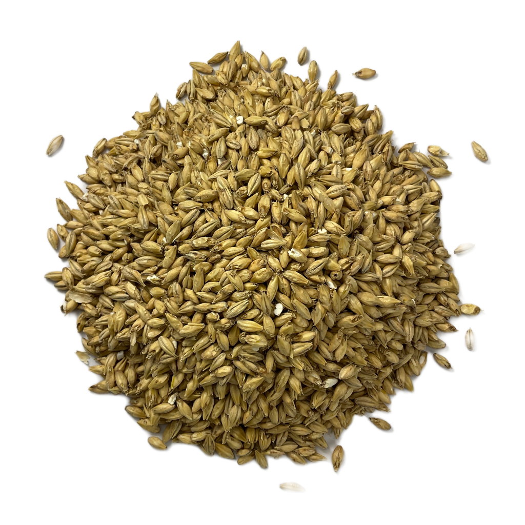 Briess Aromatic Munich Malt (20L) | Toasted Malt