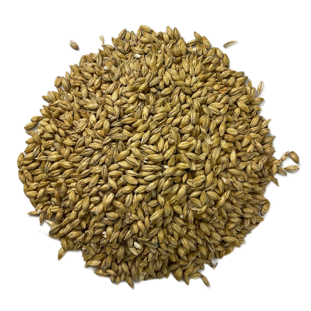 Base Malts for Brewing | 2-Row, Pilsner, Maris Otter & More