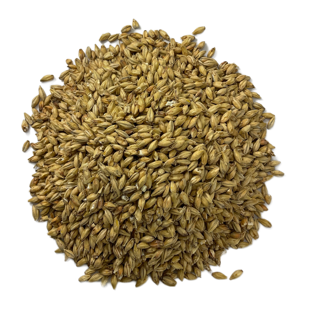 Briess Pale Ale Malt – American 2-Row Base Malt