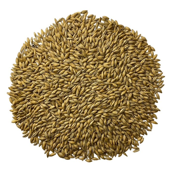 Gambrinus Mars Malt : Craft Rich, Red-Hued Beers with Distinctive Flavor