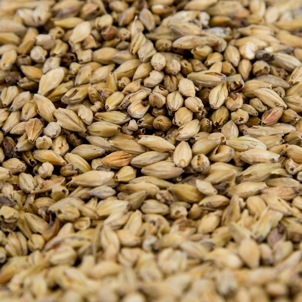 Gambrinus Munich Dark 30L Malt | Toasted for Deep Color and Flavor ...