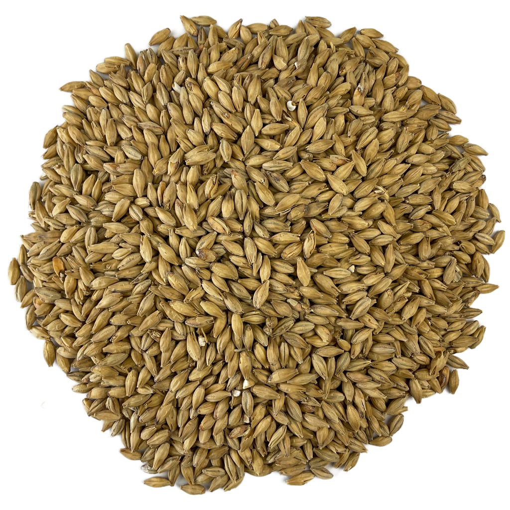 Simpsons Best Pale Ale Malt | Rich, Full-Flavored Base Malt for Ales ...