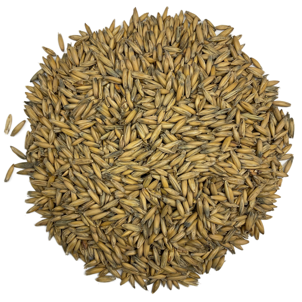 Gambrinus Honey Malted Oats | Crystal Malt