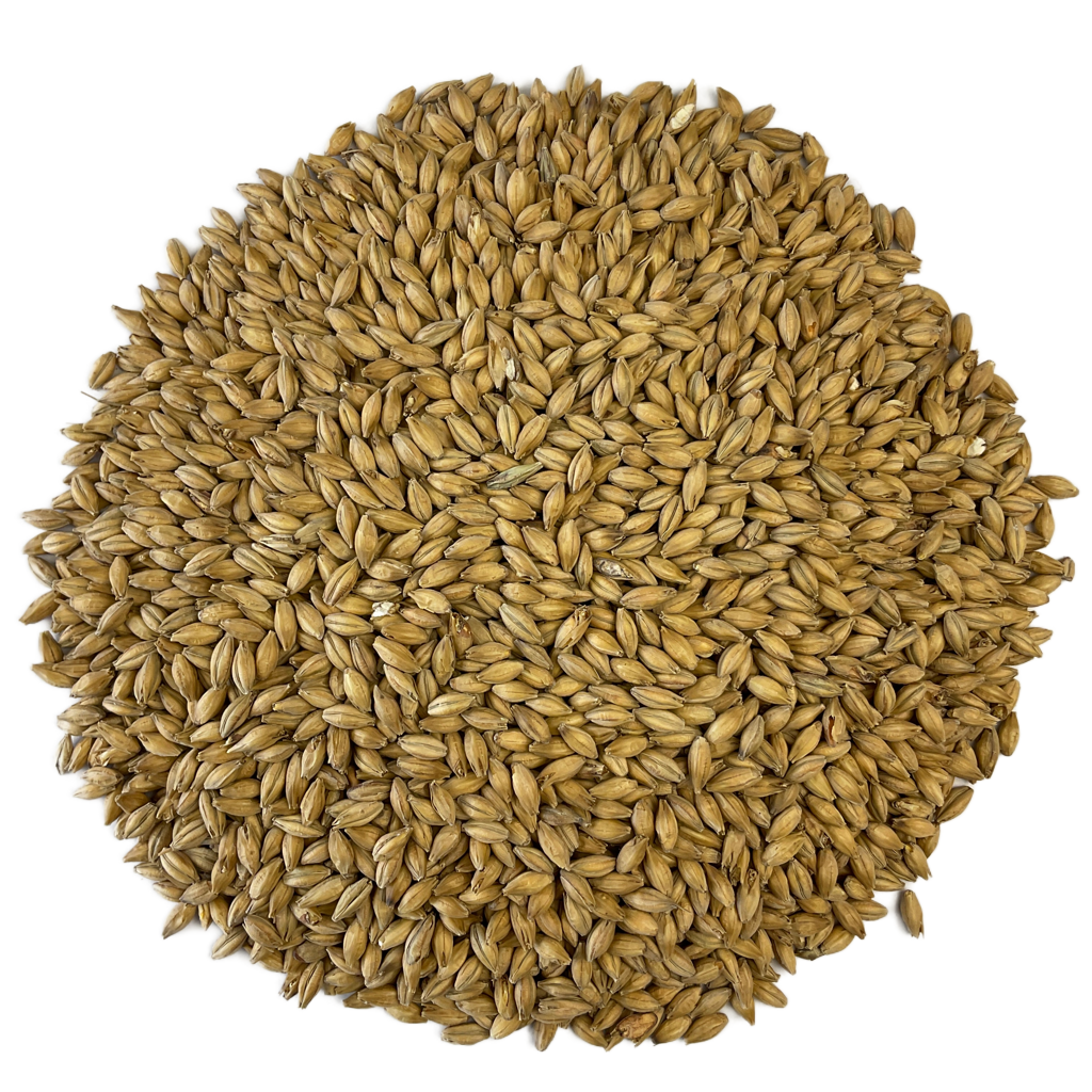 English Finest Maris Otter Malt by Crisp | Sold by the Ounce — SoCal ...
