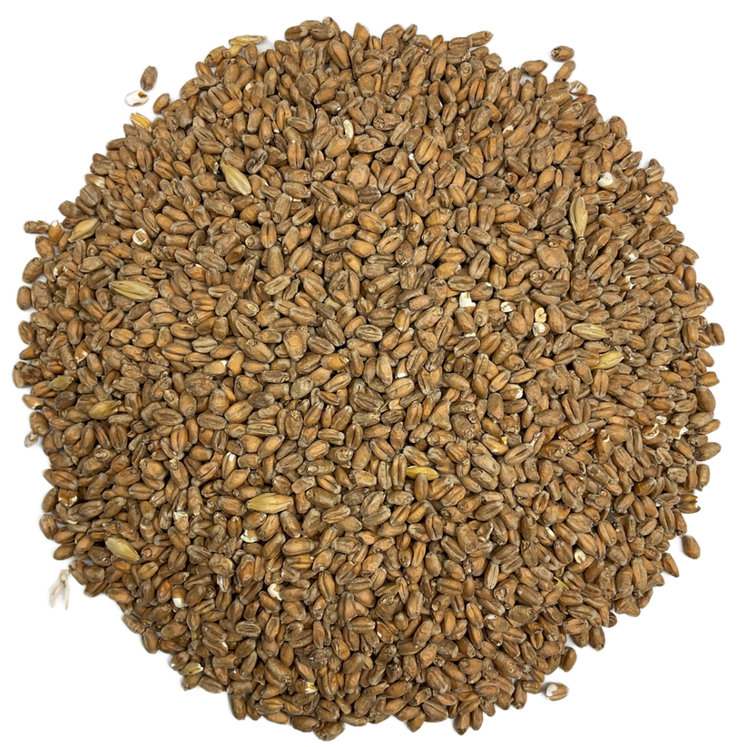 American Red Wheat Malt by Rahr | Sold by the Ounce – SoCal Brewing Supply
