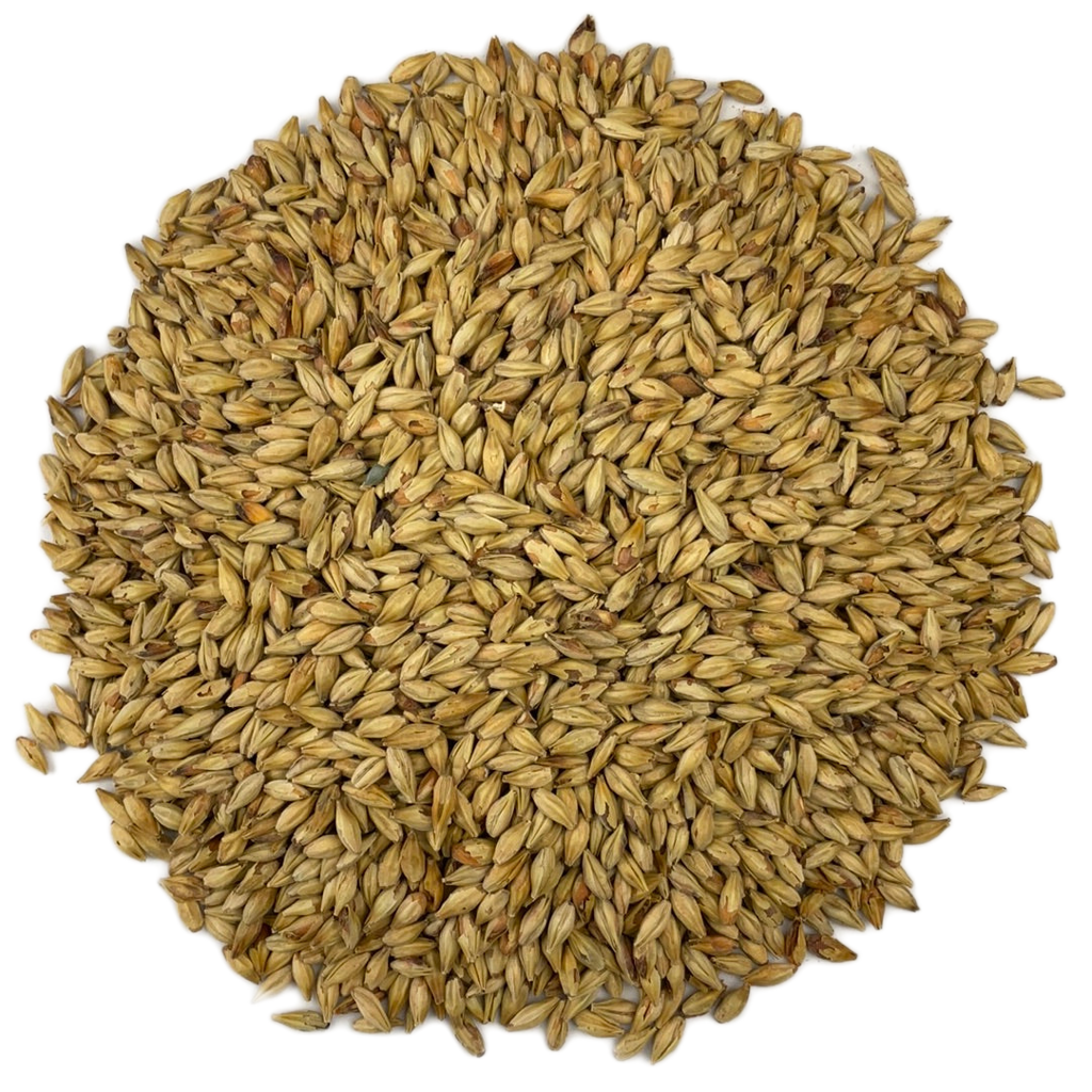 Weyermann® Melanoidin Malt | Toasted Malt