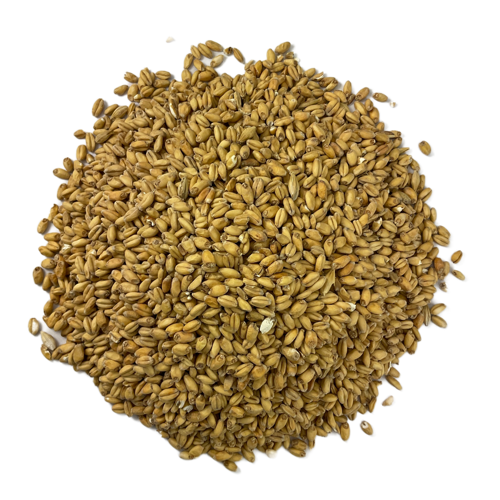 American White Wheat Malt by Rahr | Sold by the Ounce – SoCal Brewing ...