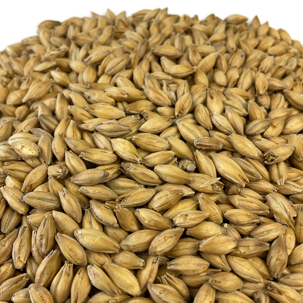 Scottish Pale Ale Malt by Crisp | Sold by the Ounce – SoCal Brewing Supply