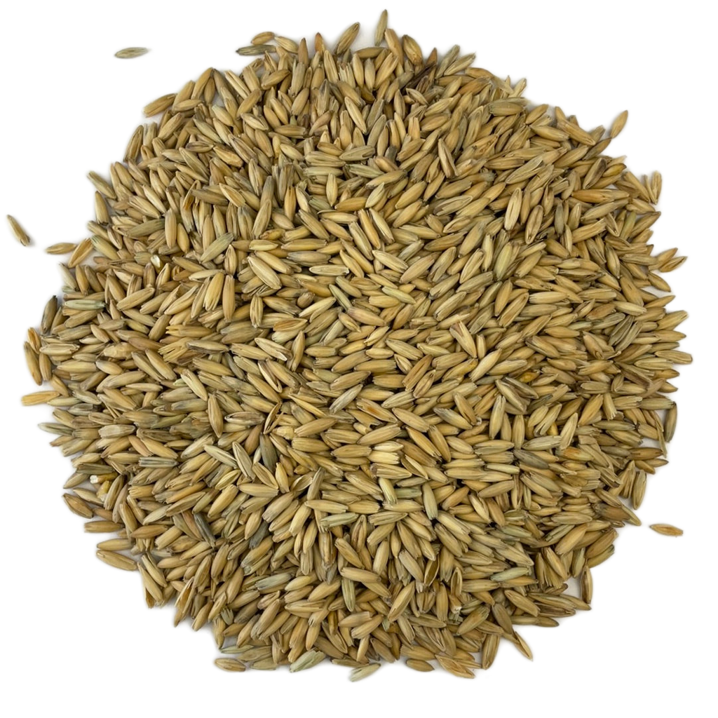 Rahr Malted Oats | Specialty Malt