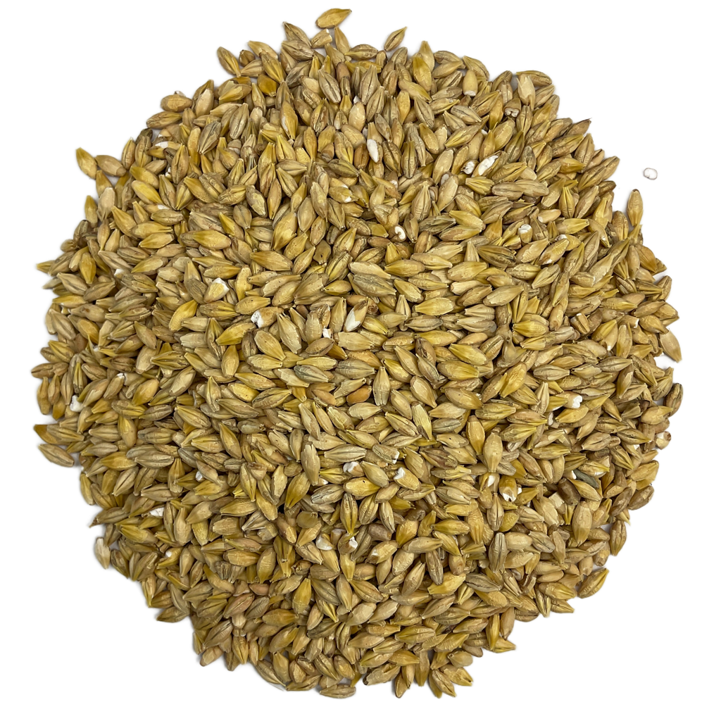 Weyermann® Acidulated Malt | Specialty Malt