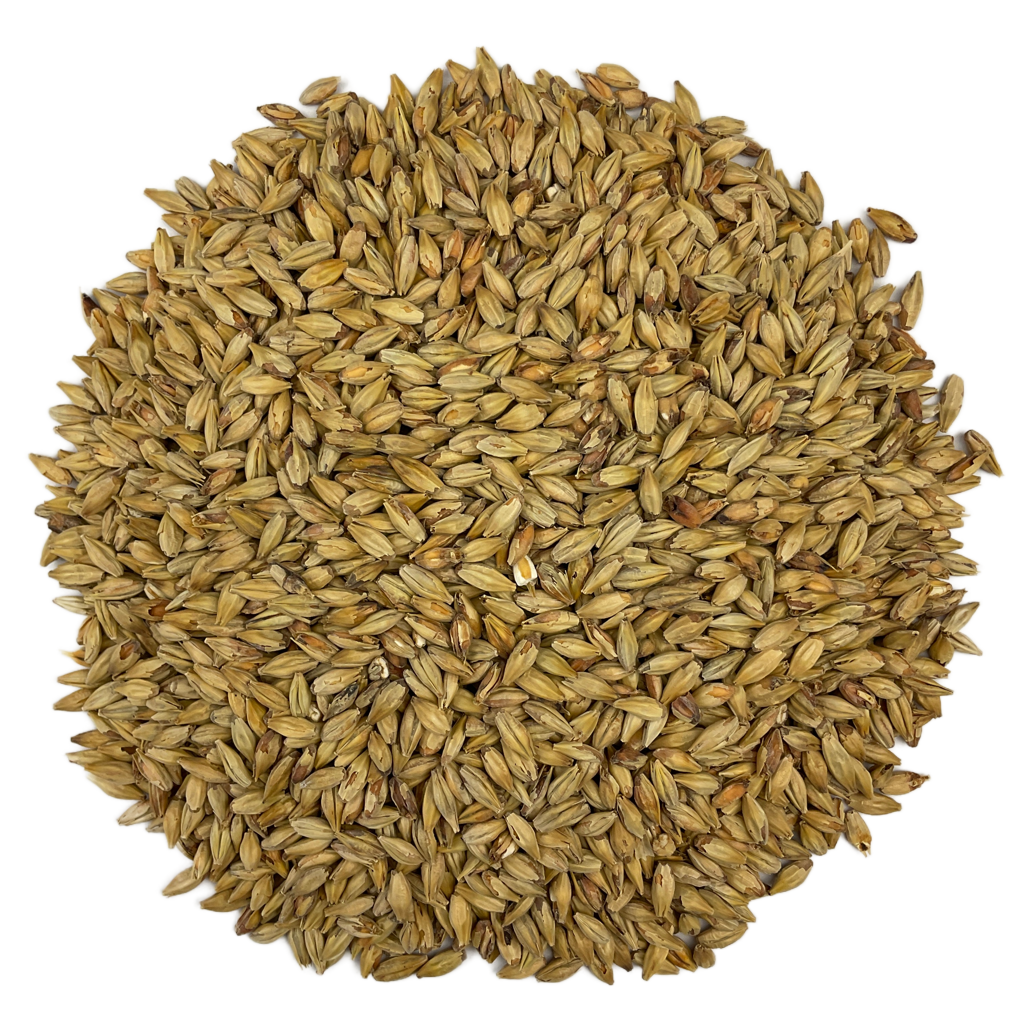 Weyermann® Abbey Malt | Specialty Malt for Rich, Malty Beers — SoCal ...