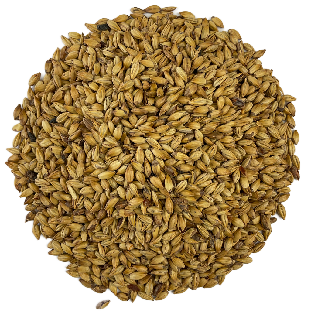 Simpsons Red Rye Crystal Malt - Spicy, Fruity Flavor & Vibrant Red Hue ...