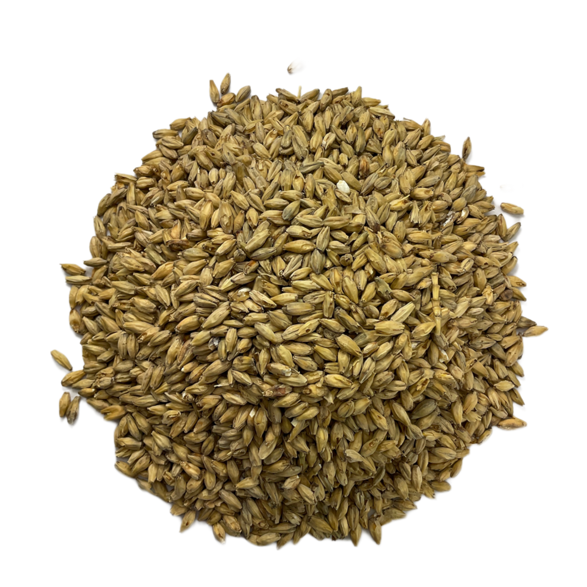 American Standard 6-Row Malt by Rahr | Sold by the Ounce