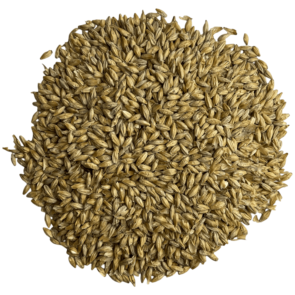 Rahr High Diastatic Power Distillers Malt | Distilling Malt