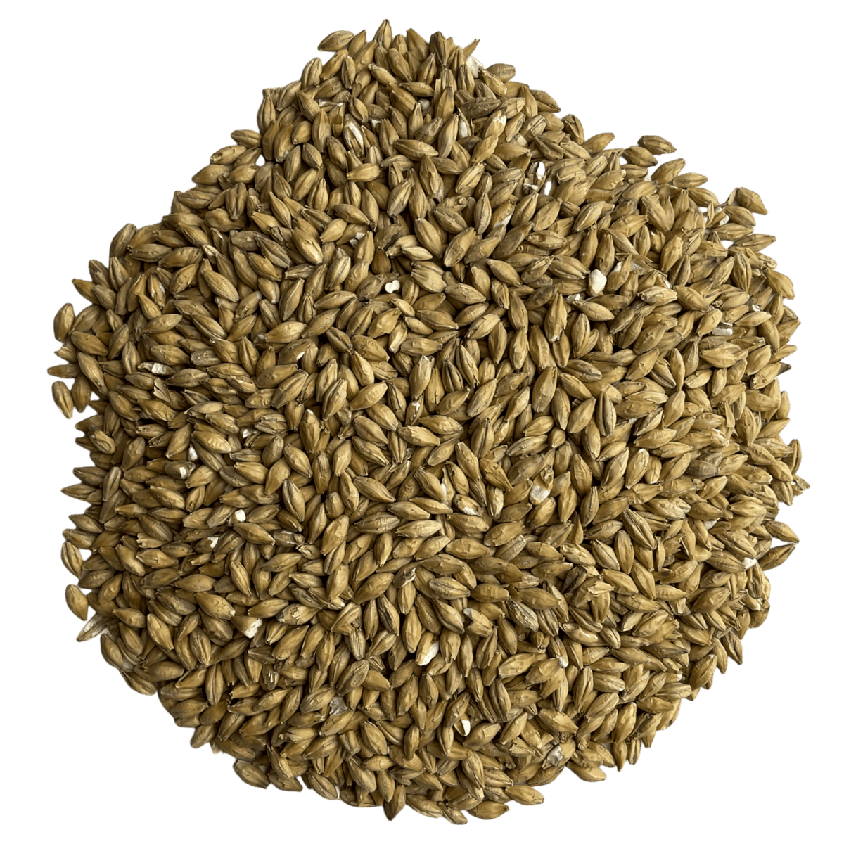 Crisp Rye Malt | Specialty Malt