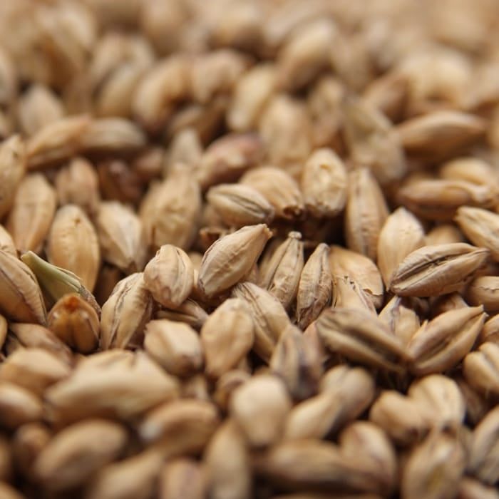 German Pale Ale Malt by Weyermann | Sold by the Ounce